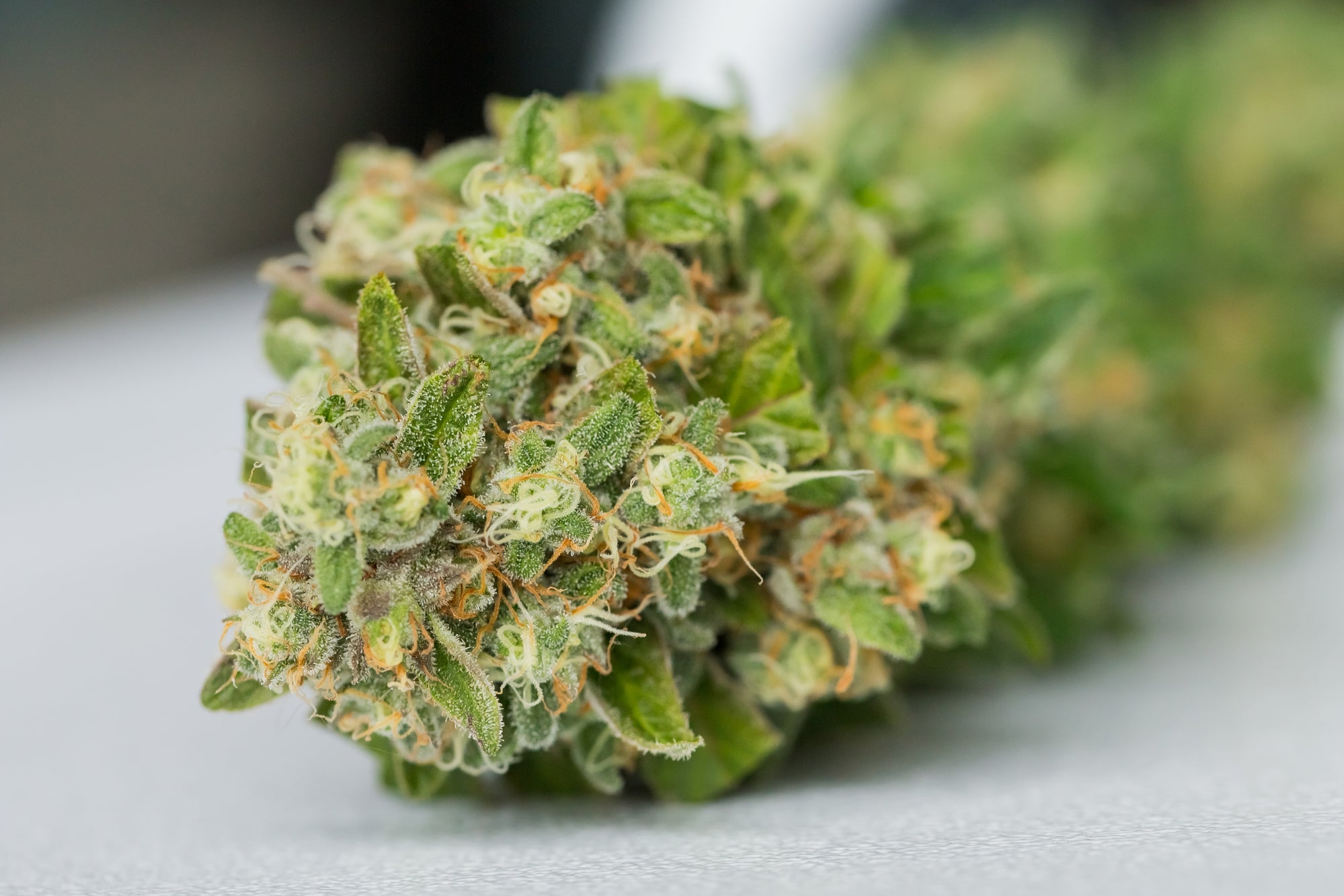 THCA vs THCV: Key Differences, Effects, and Benefits Explained – Puffy THCa